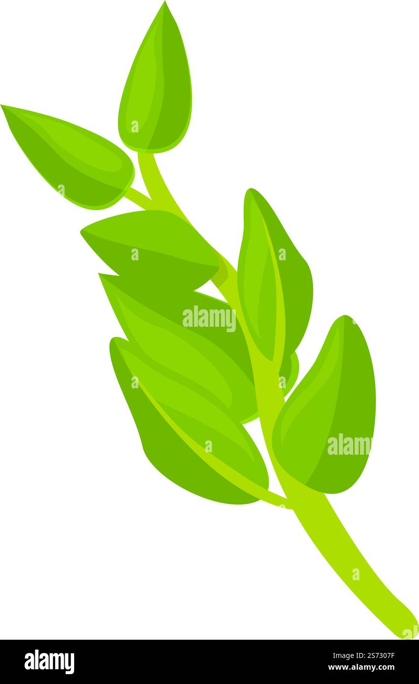 Spice oregano icon cartoon vector. Herb leaf. Garden kitchen. Spice ...