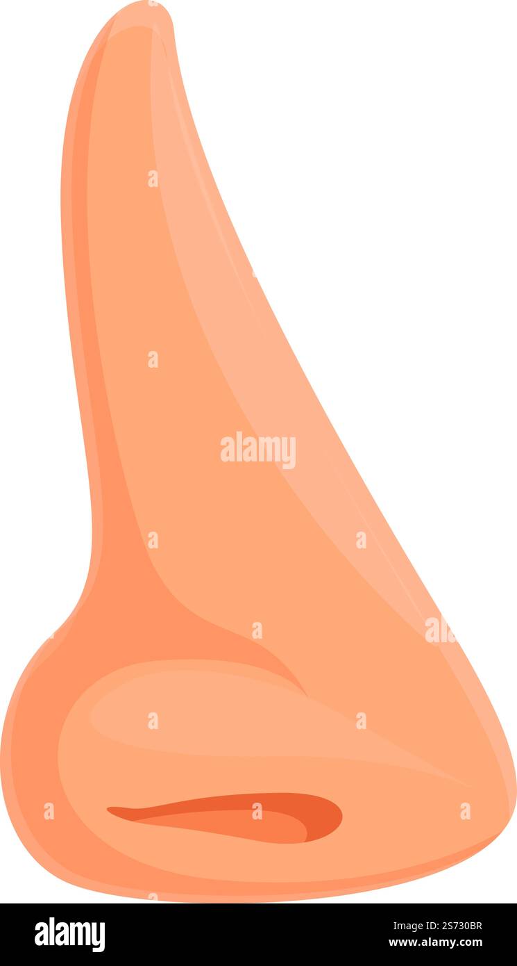 Nose shape icon cartoon vector. Plastic surgery. Operation bone. Nose ...