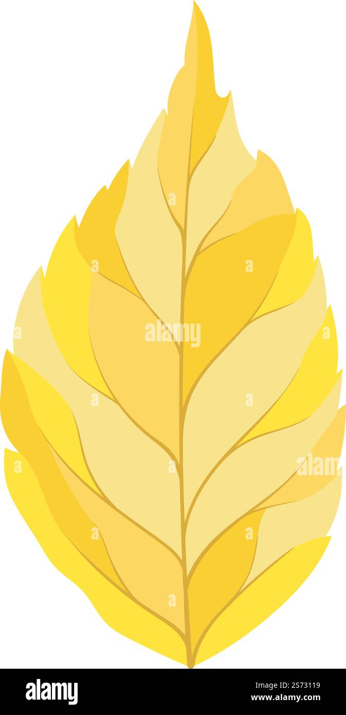 Autumn ash-tree leaf. Leaf fall. Vector illustration Stock Vector Image ...