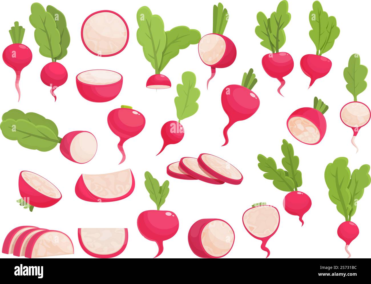 Radish icons set cartoon vector. Slice agriculture. Summer plant ...