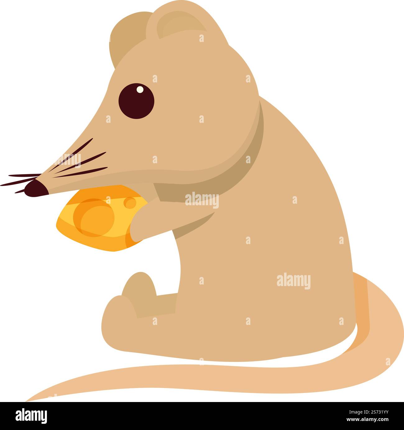 Shrew eat cheese icon cartoon vector. Domestic animal. Asian mouse ...