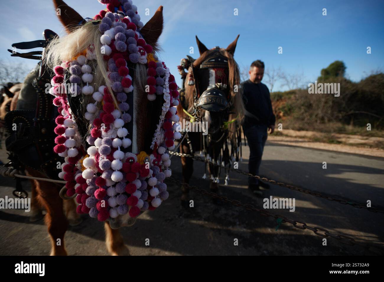 Albocasser, Spain. 18th Jan, 2025. A drag horse that is part of the ...