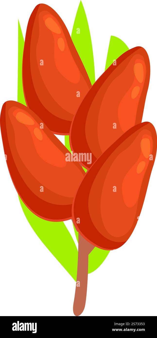 Date fruit tree icon cartoon vector. Palm food. Arabic seed. Date fruit ...