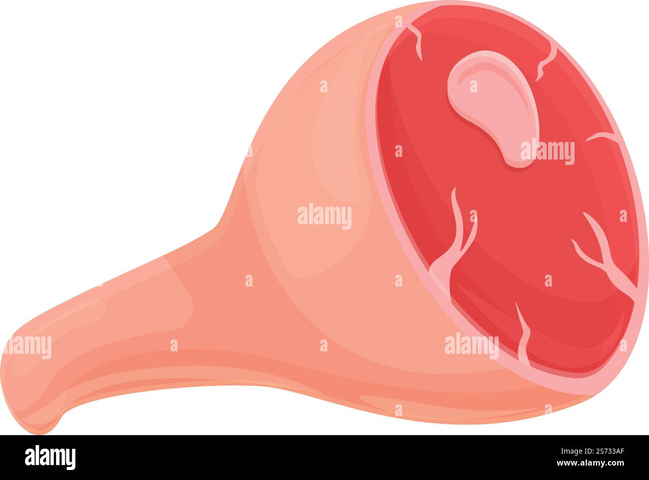 Ham meat icon cartoon vector. Beef food. Steak food. Ham meat icon ...