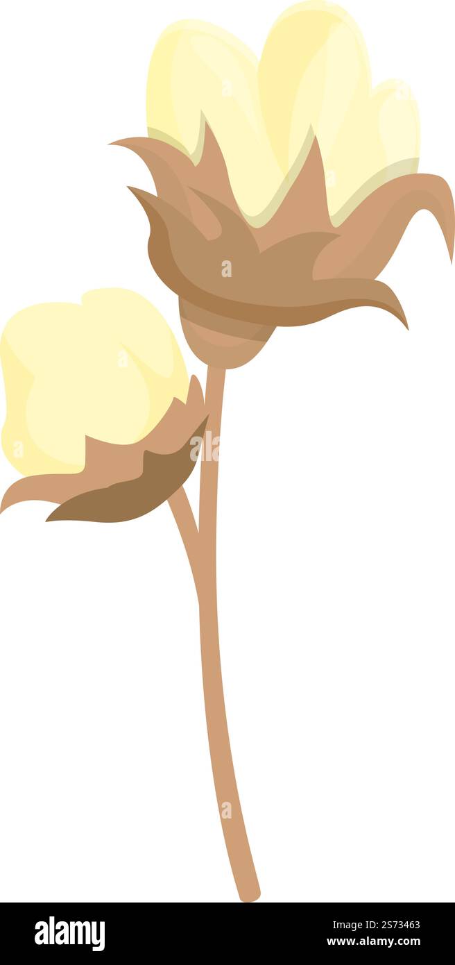 Natural cotton icon cartoon vector. Organic plant. Art plant. Natural ...