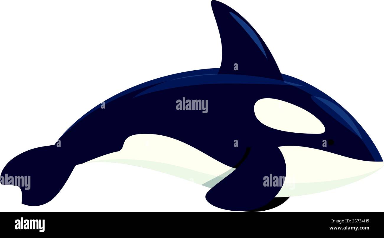 Orca seal attack Stock Vector Images - Alamy