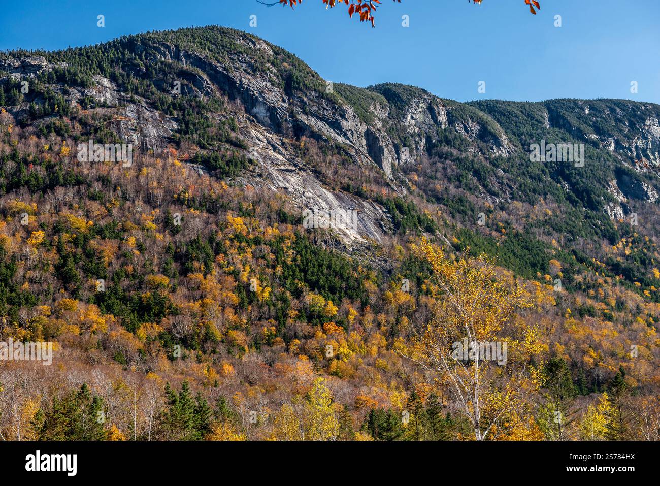 New England Fall Foliage Landscape Stock Photo - Alamy