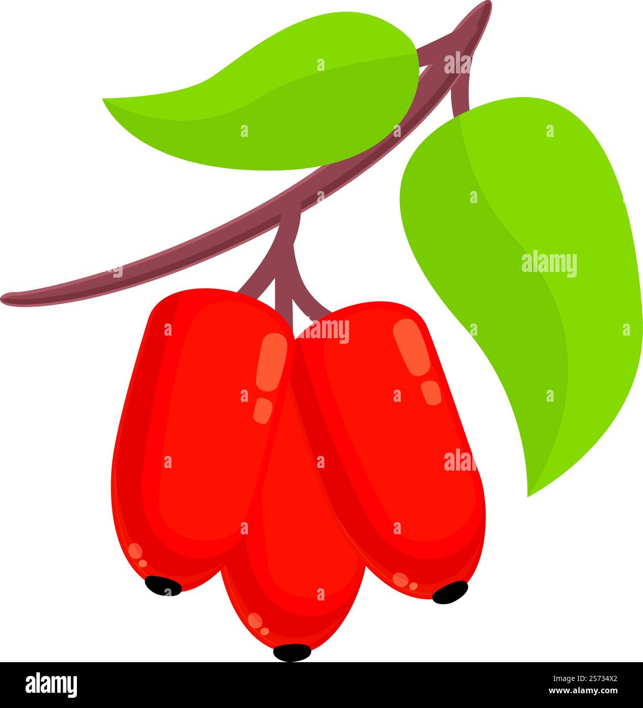 Goji fruit icon cartoon vector. Berry plant. Organic fruit. Goji fruit ...