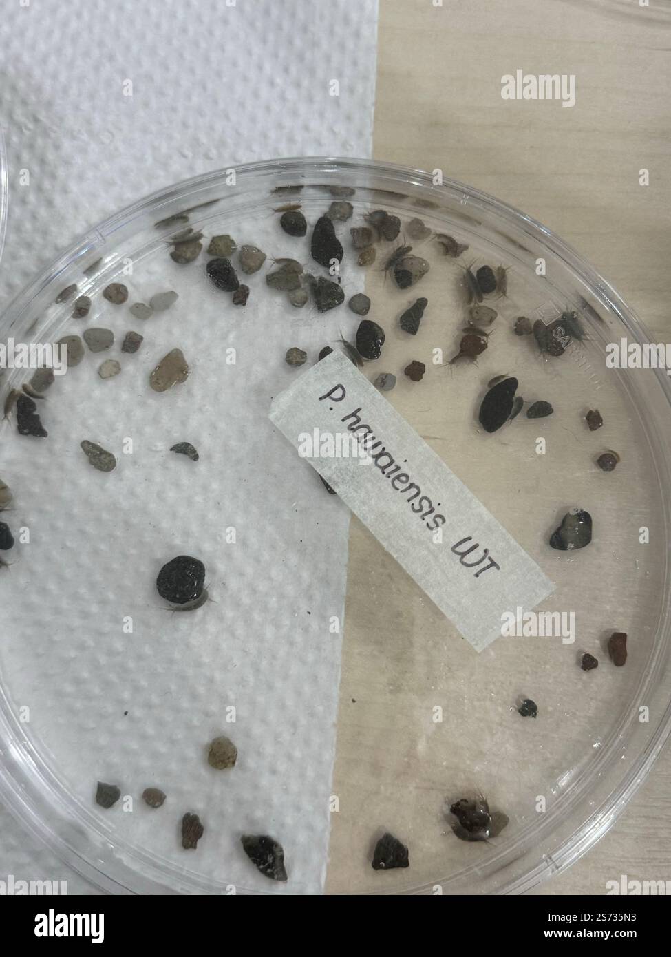 Marine biology lab hi-res stock photography and images - Alamy