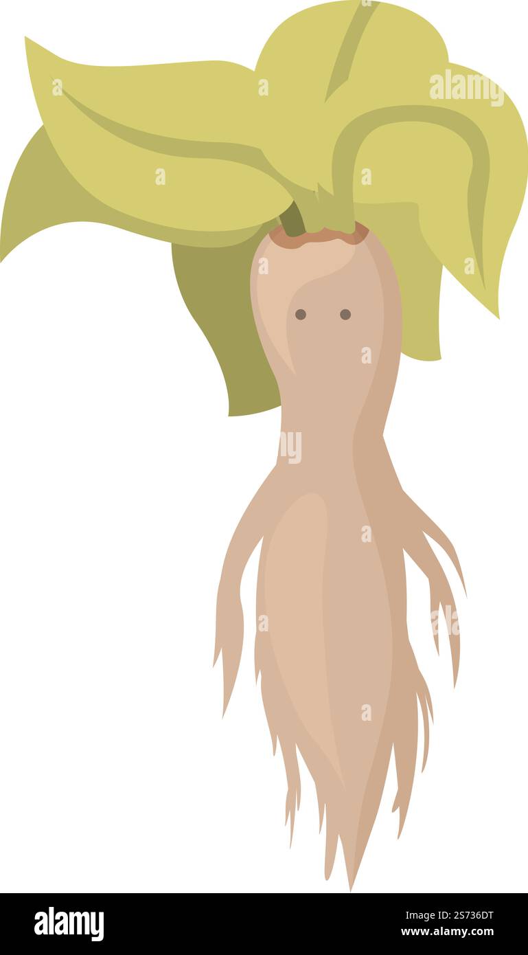 Chinese mandrake icon cartoon vector. Magic mandragora. Art nature ...