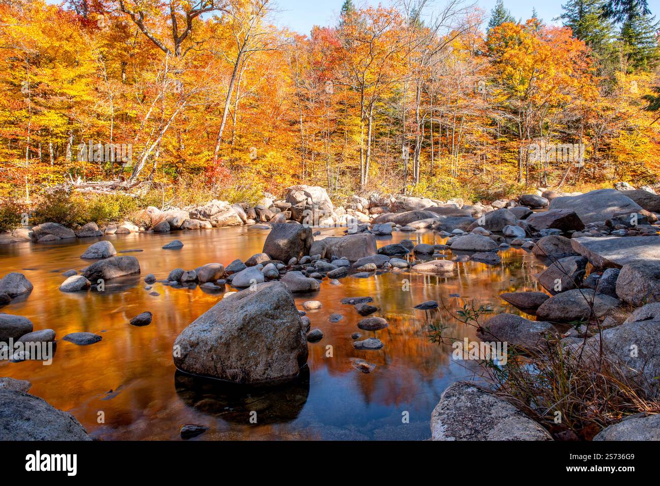 Northeast fall foliage hi-res stock photography and images - Alamy