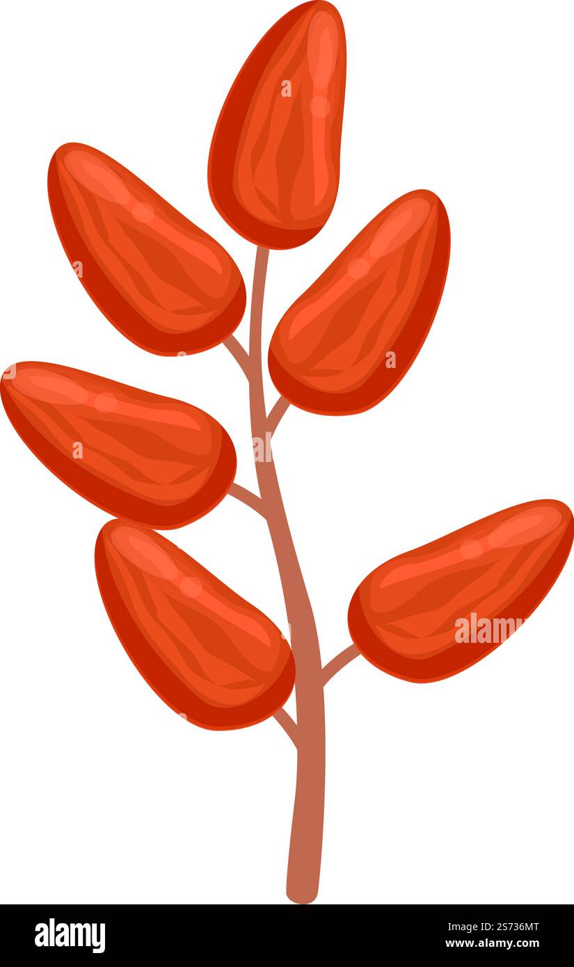 Date fruit branch icon cartoon vector. Palm food. Arabic seed. Date ...