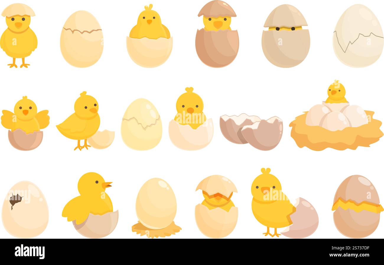 Chicken hatching icons set cartoon vector. Egg nest. Chicken baby ...
