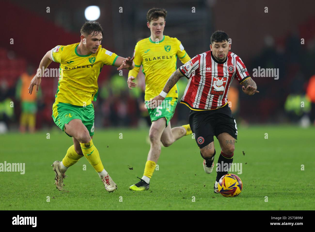 Sheffield, UK. 18th Jan, 2025. Gustavo Hamer of Sheffield United is ...