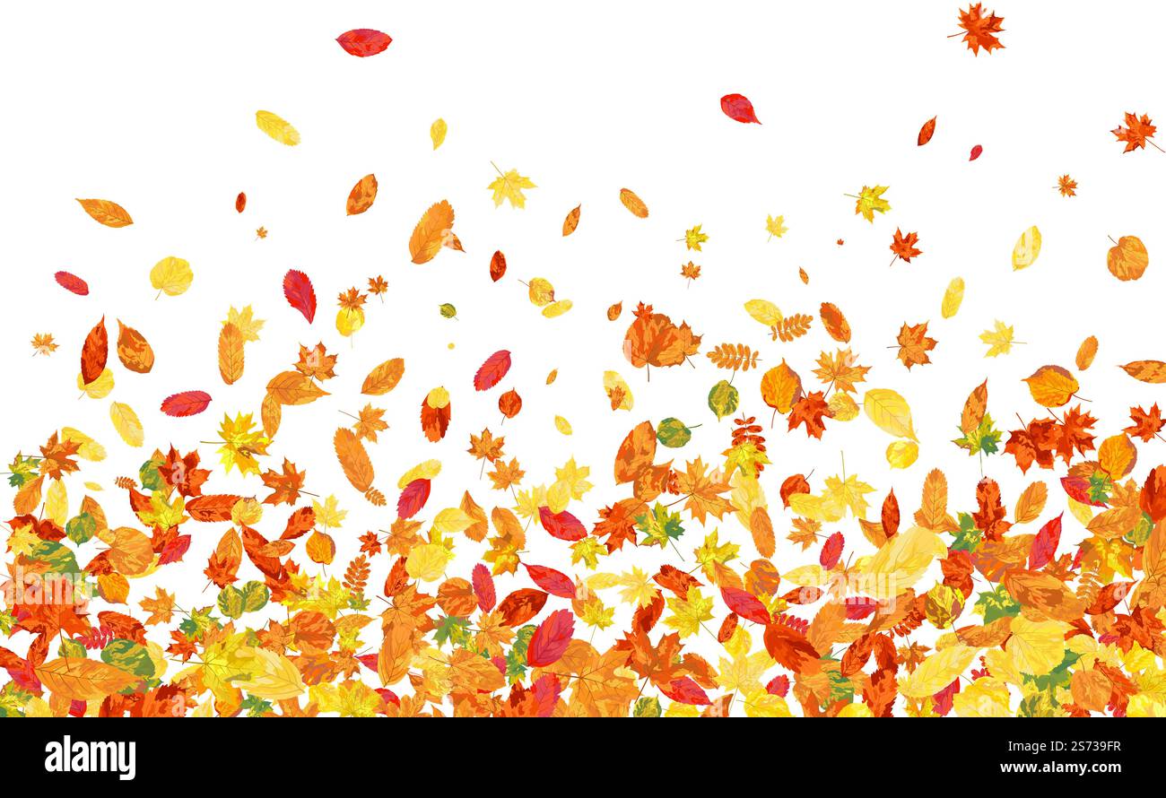 Autumn Frame With Blowing Leaves Over White Background. Elegant Design ...