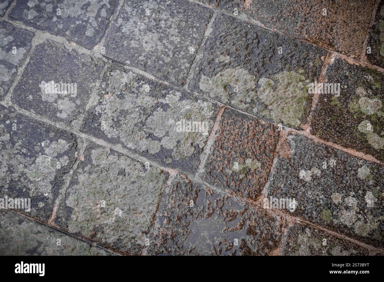 Pavement in italy hi-res stock photography and images - Alamy