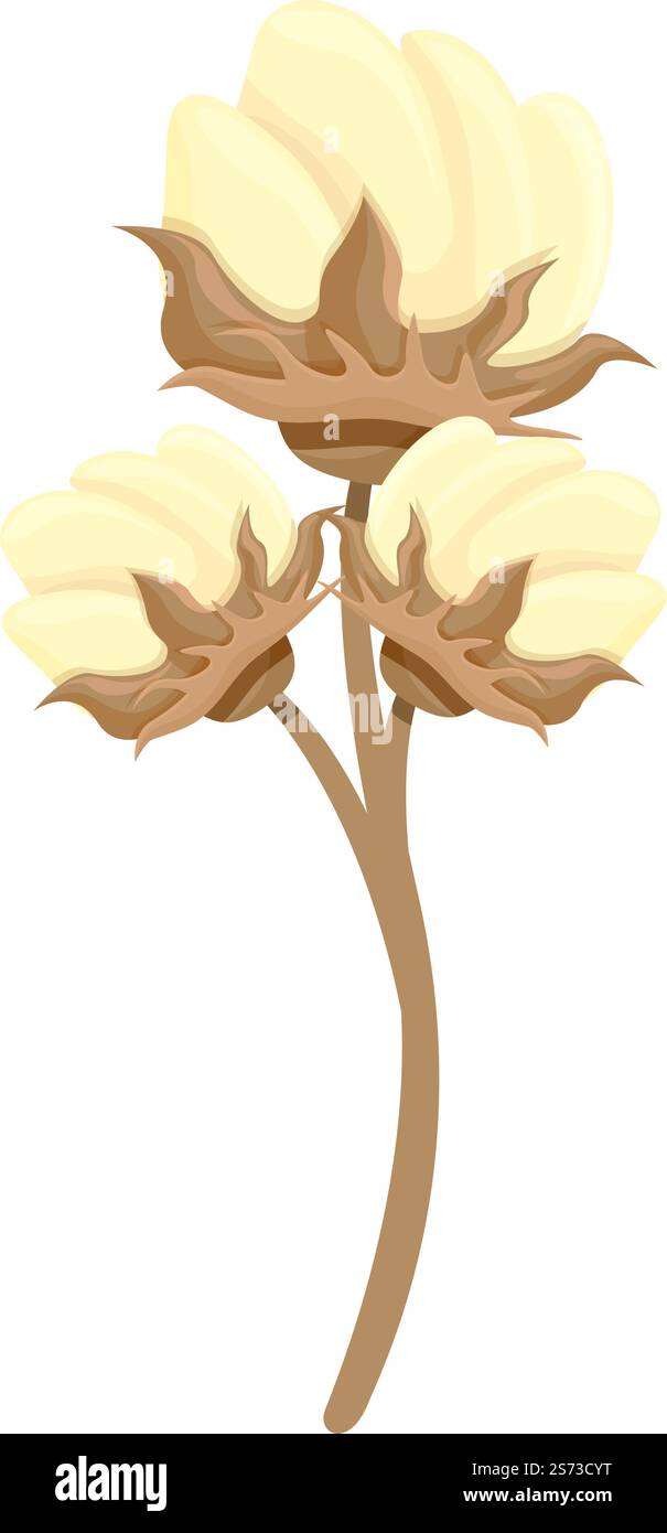 Wool art icon cartoon vector. Organic plant. Fabric fiber. Wool art ...