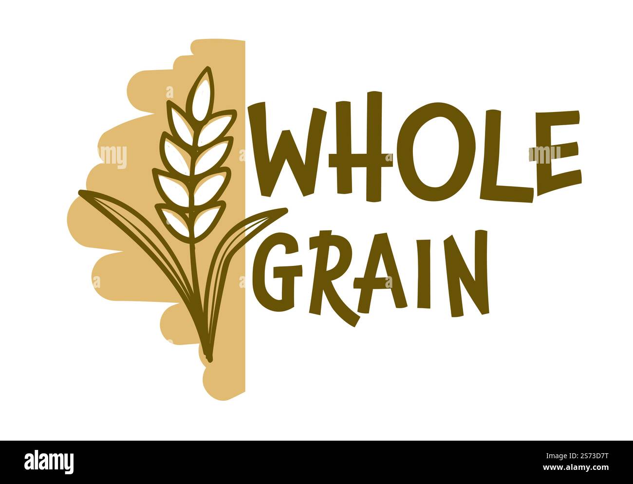 Healthy ingredients for balanced meal menu, isolated whole grain ...