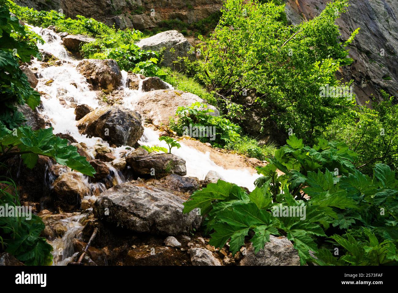 Beautiful waterfall and river in the mountains of the Lesser Caucasus ...