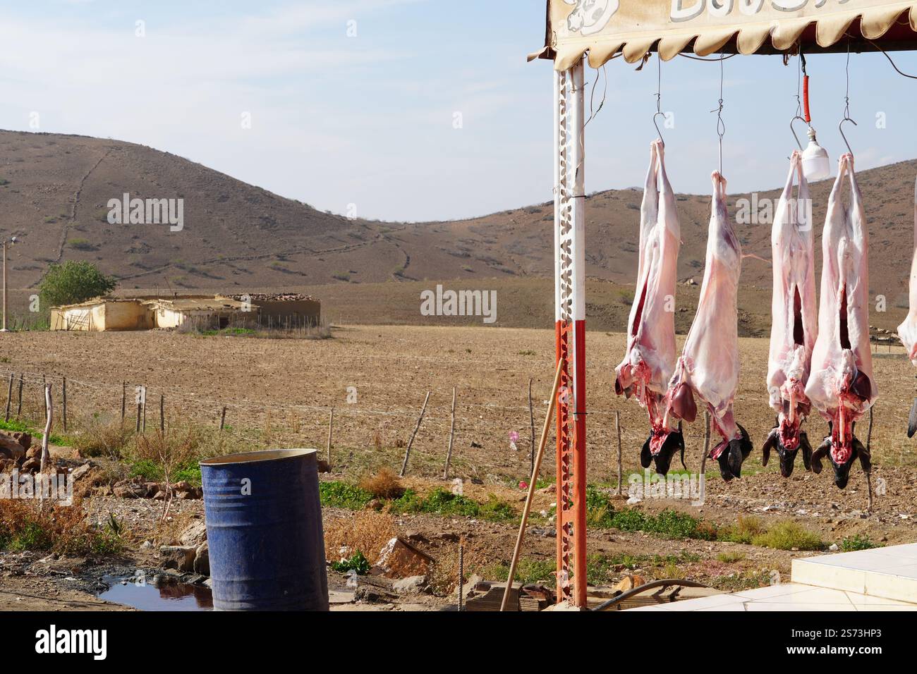 Sheep hanging outside butchers, Morocco, North Africa Stock Photo - Alamy
