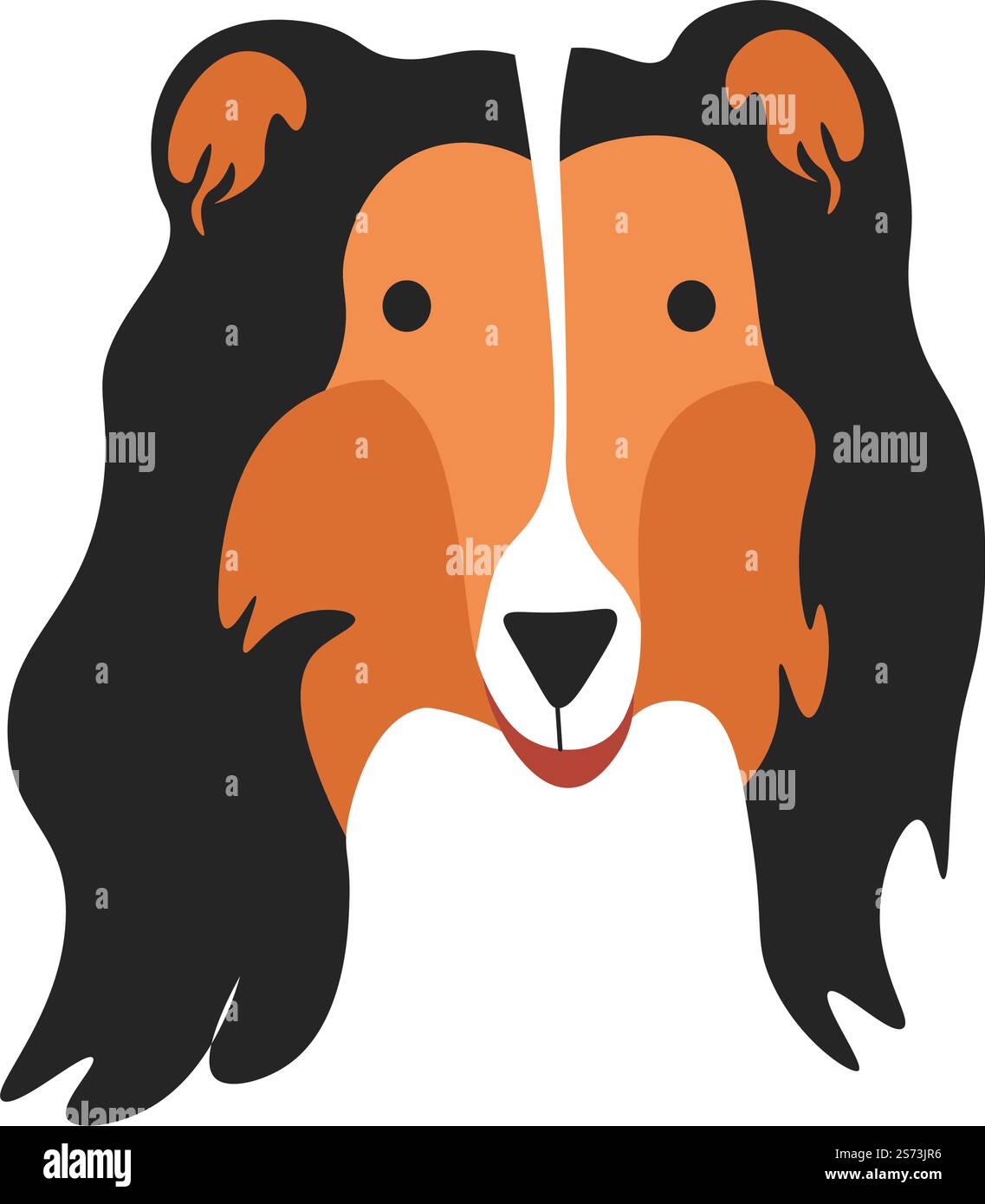 Portrait of Border Collie, isolated muzzle of domestic pet. Head of ...