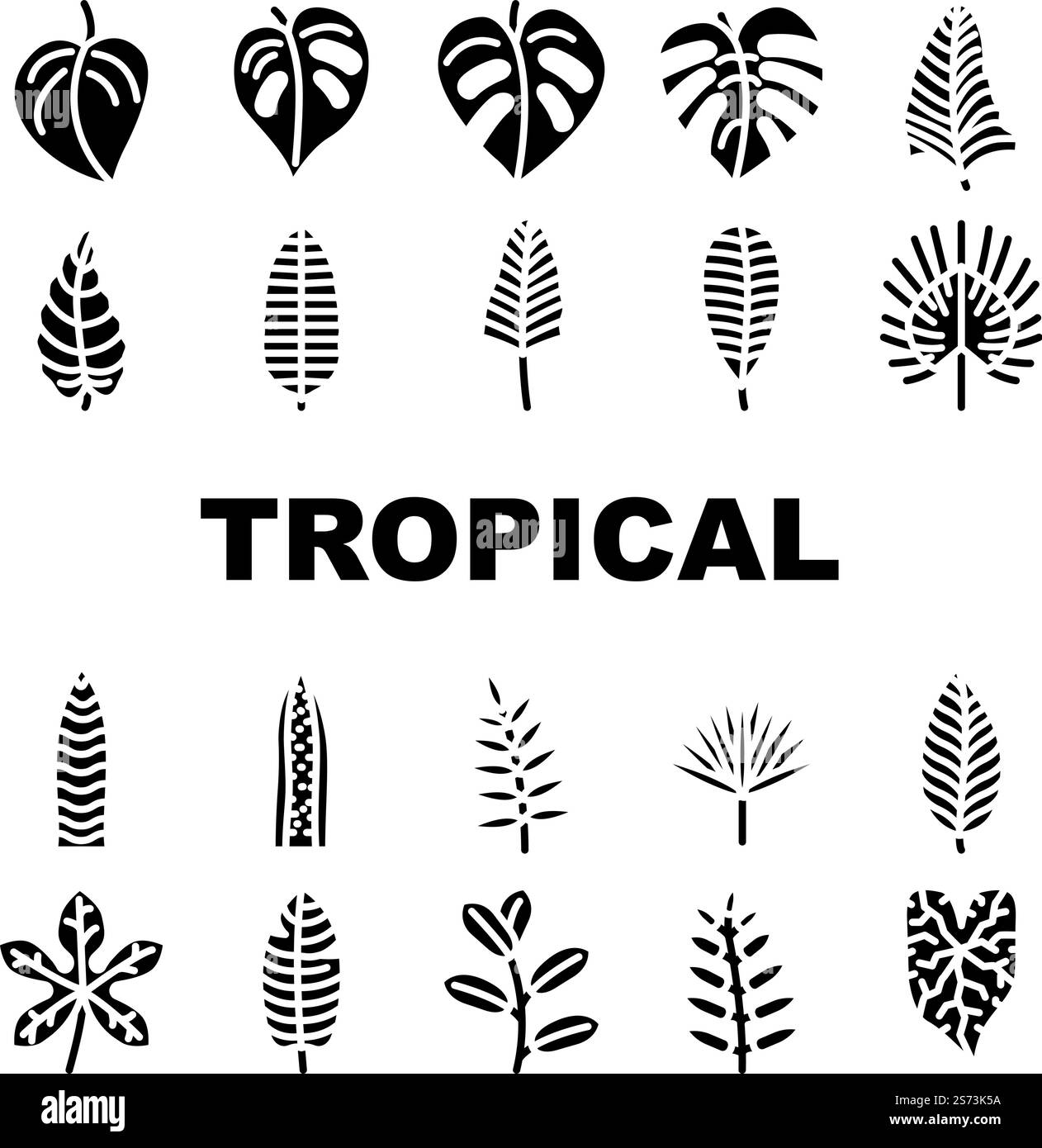 leaf tropical plant palm jungle icons set vector. summer exotic, green ...
