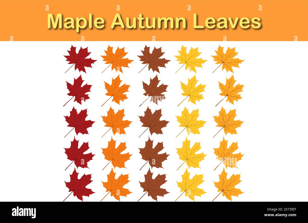 Autumn maple leaf set. Autumn Leaves fall. Vector illustration Stock ...