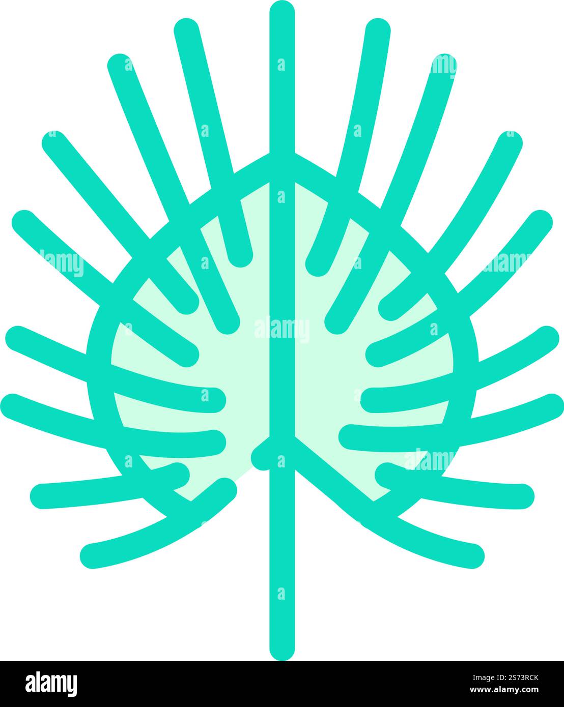 chinese fan palm color icon vector. chinese fan palm sign. isolated ...