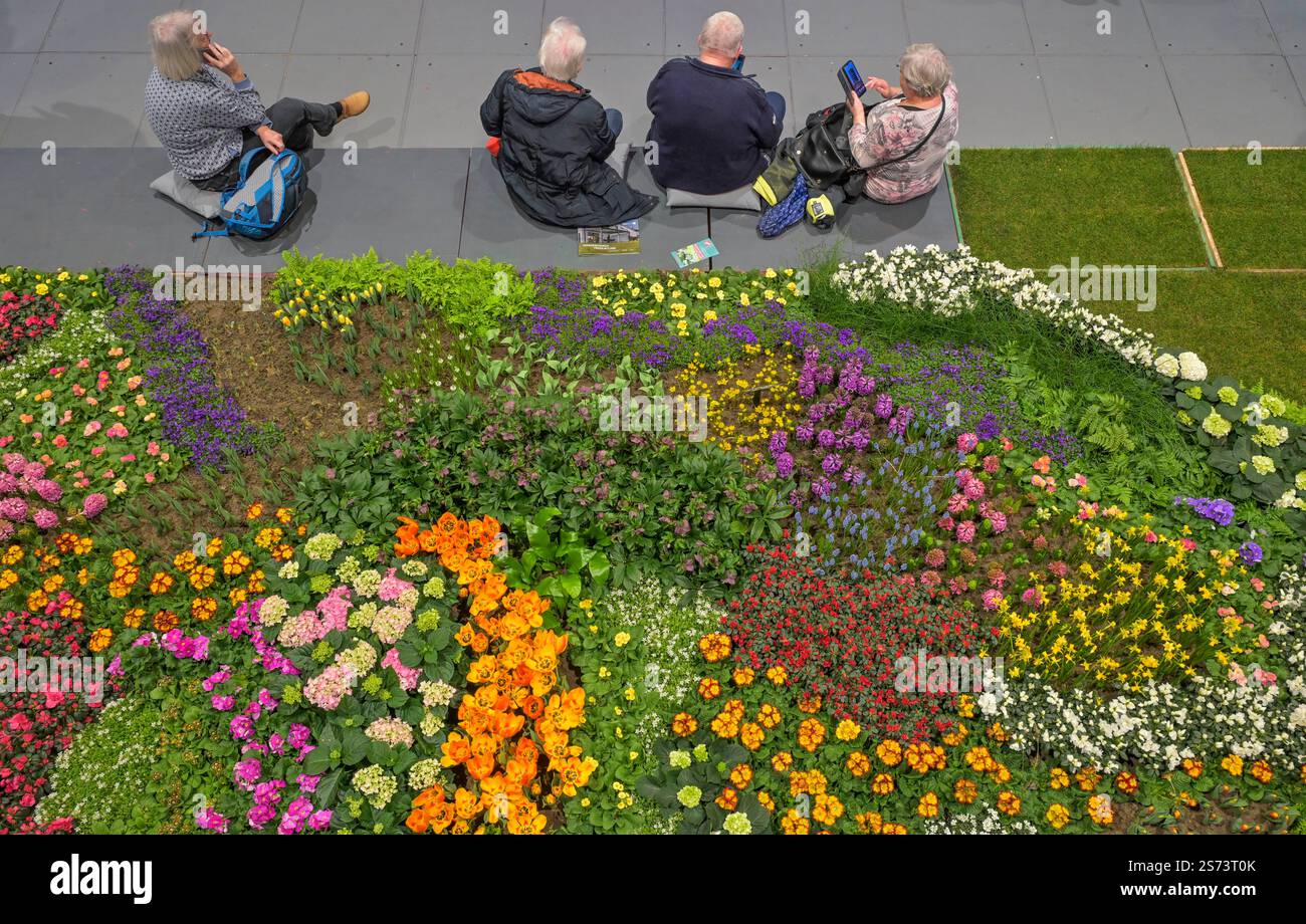 Blumenbeet, Blumenhalle, Internationale Grüne Woche IGW 2025, Messe ...