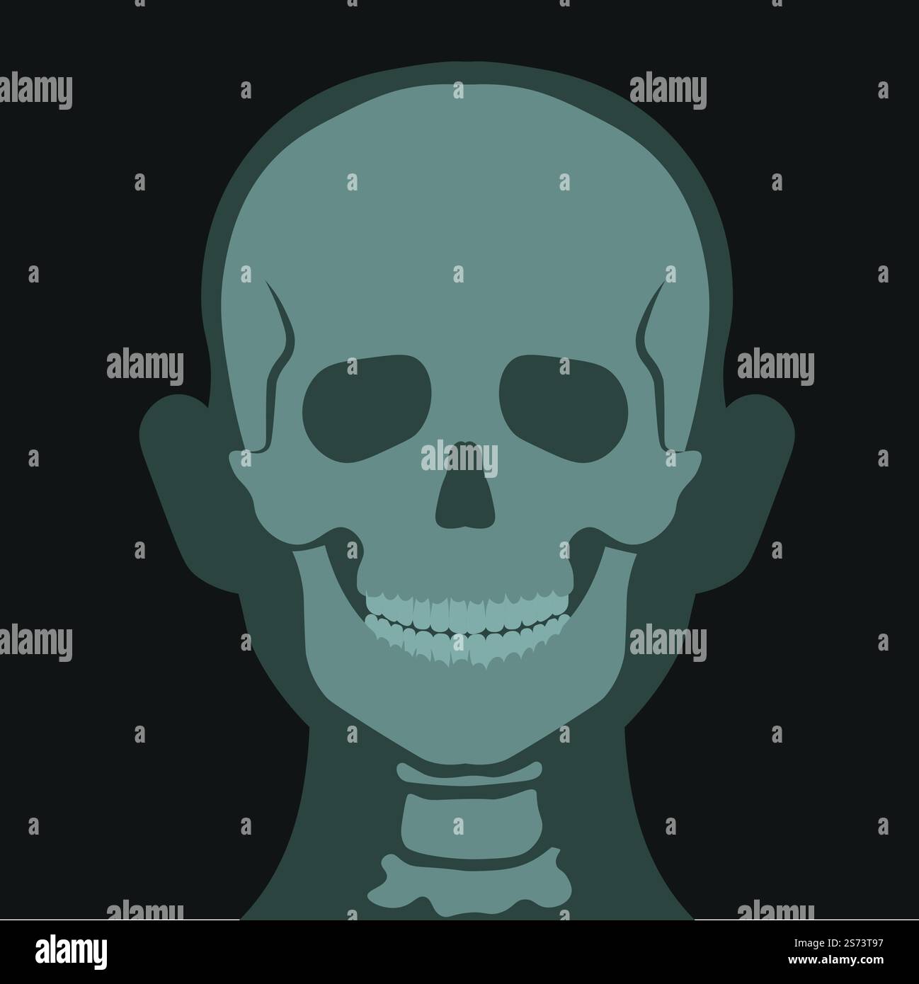 Head roentgen or computed tomography, x ray scan of skull, jaw and ...