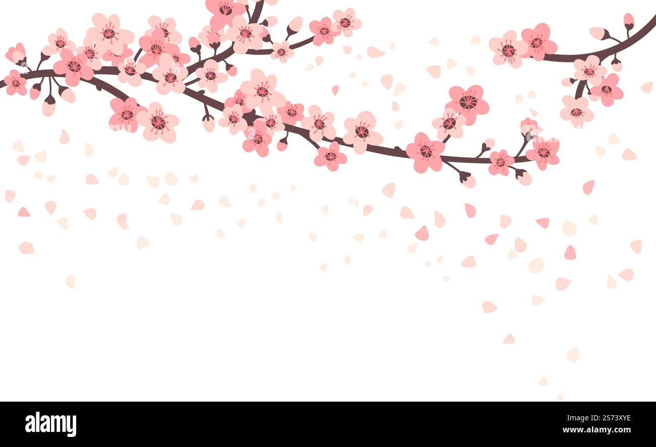 Cherry blossom. Apricot sakura flowers and flying leaves. Japanese tree ...