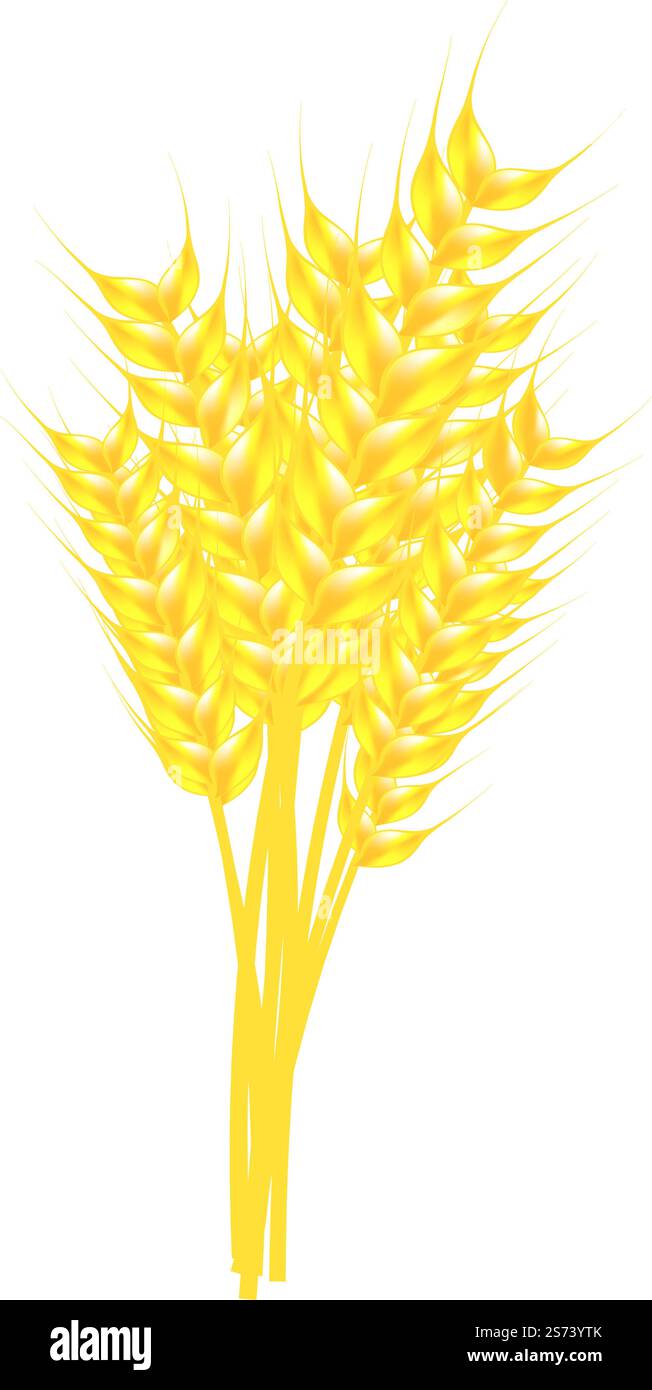 Wheat cartoon isolated vector illustration on white background. Wheat ...