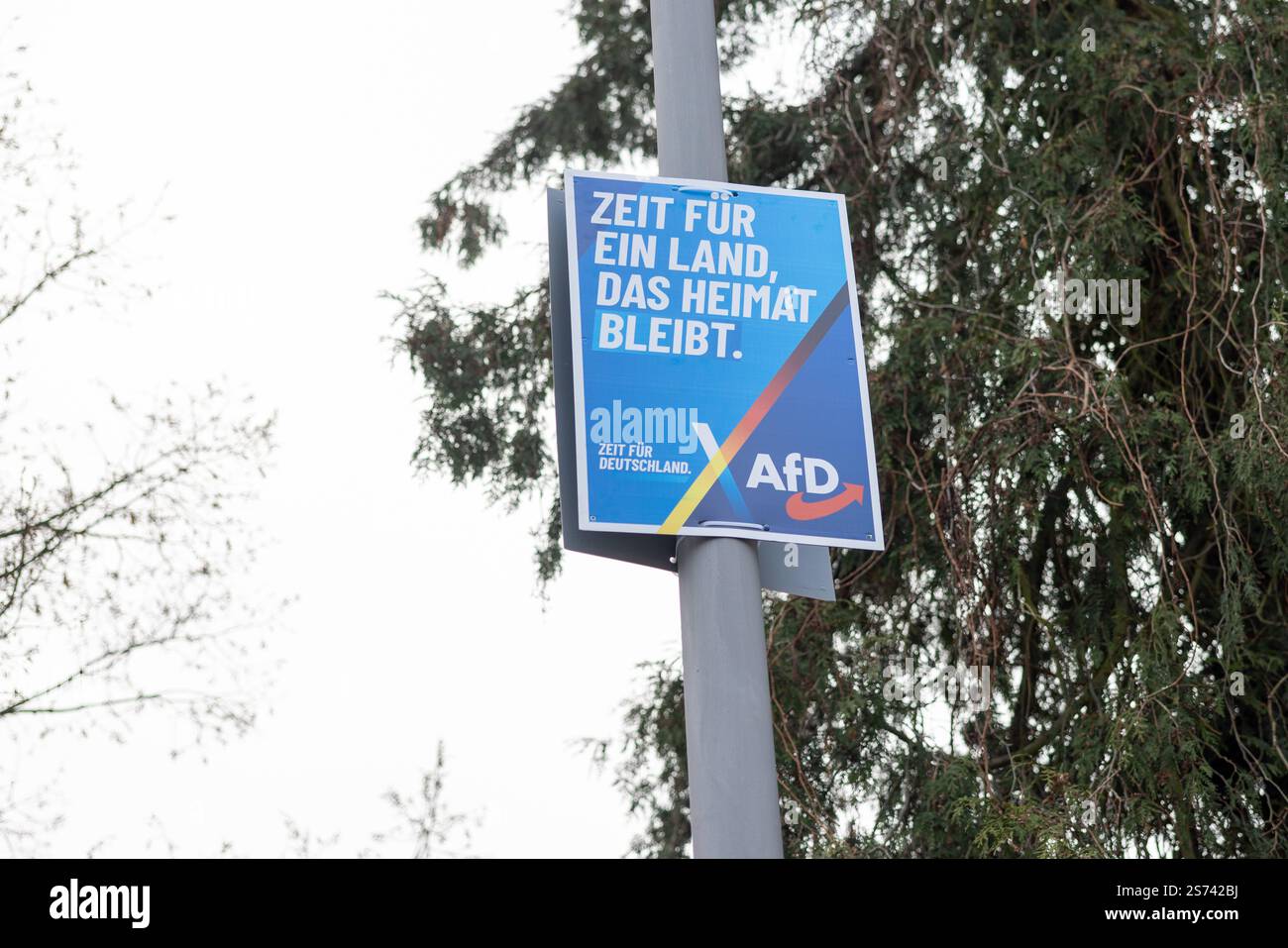 Wahlplakate in Berlin 2025 Berlin, Deutschland - 18. Januar 2025 ...