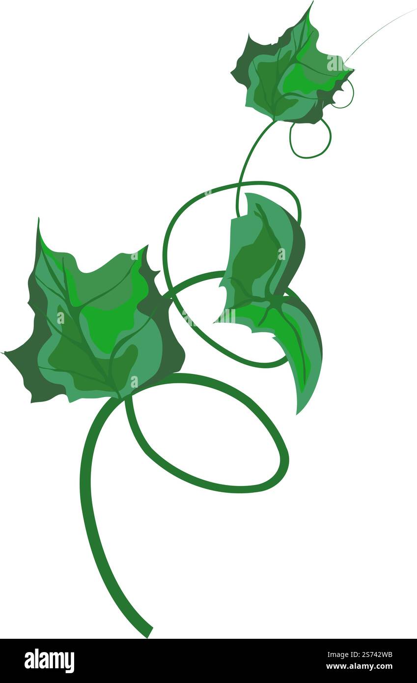 Pumpkin stem sprout cartoon isolated vector illustration on white ...