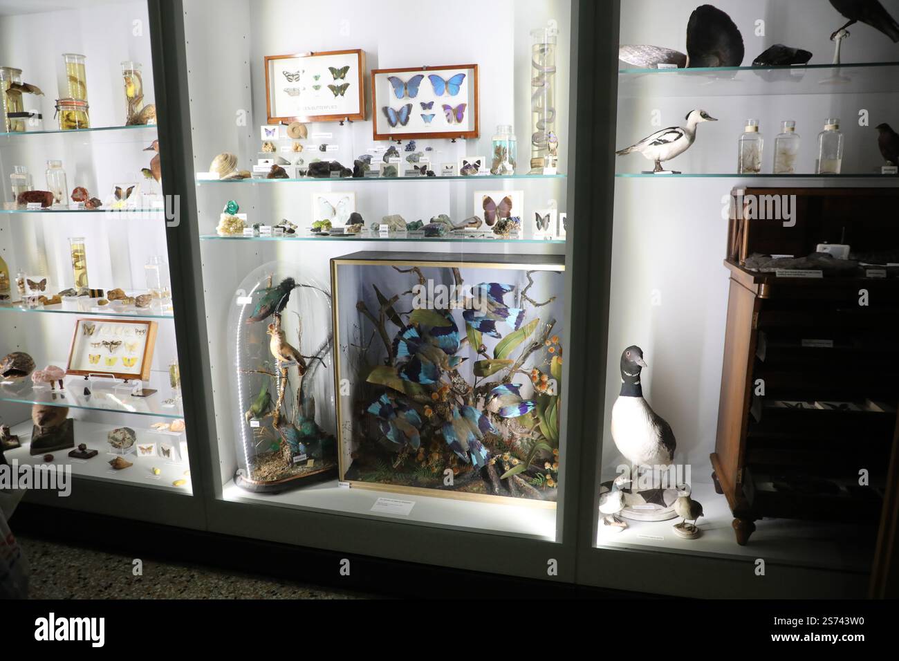 The Beaney House of Art and Knowledge is the central museum, library ...