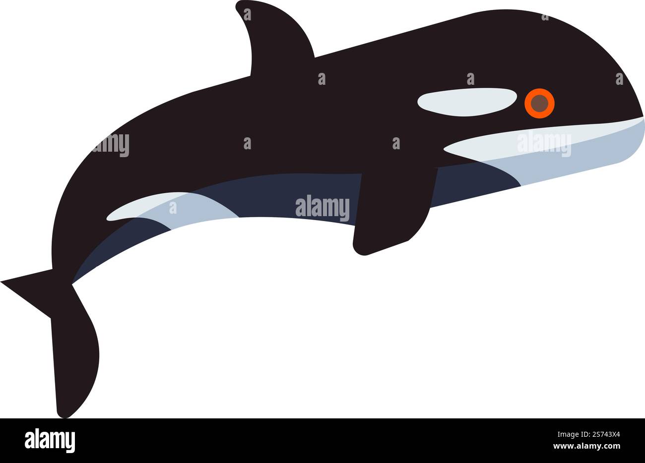 Orca icon. Cute killer whale. Black ocean animal isolated on white ...