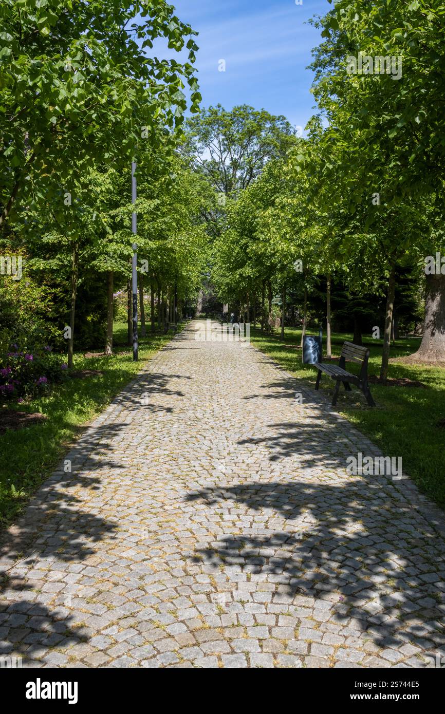 Illuminated path by sunlight, made of cobblestones. Fresh greenery ...