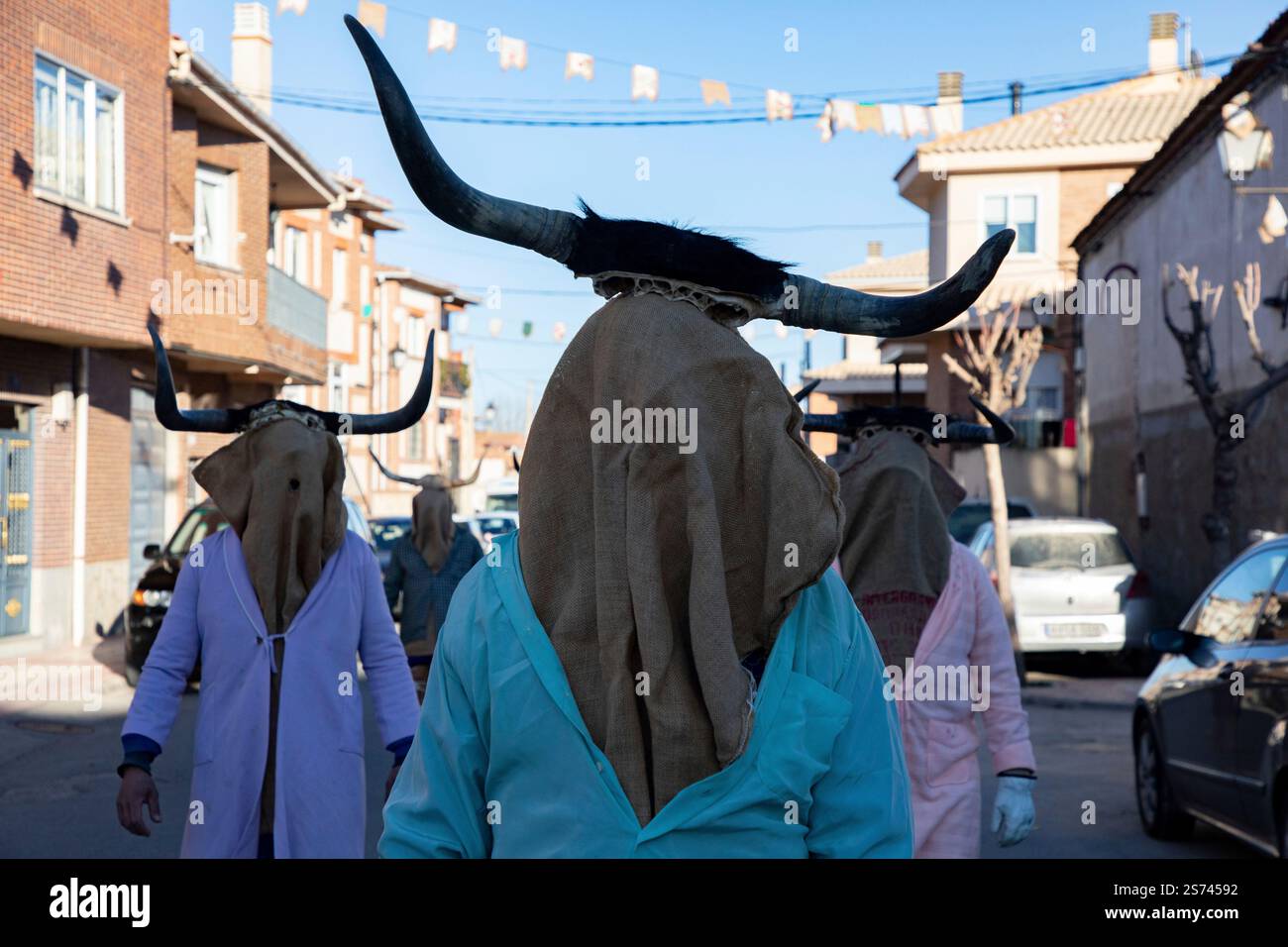Several people in costume during the 'Las Toras' celebration, on ...