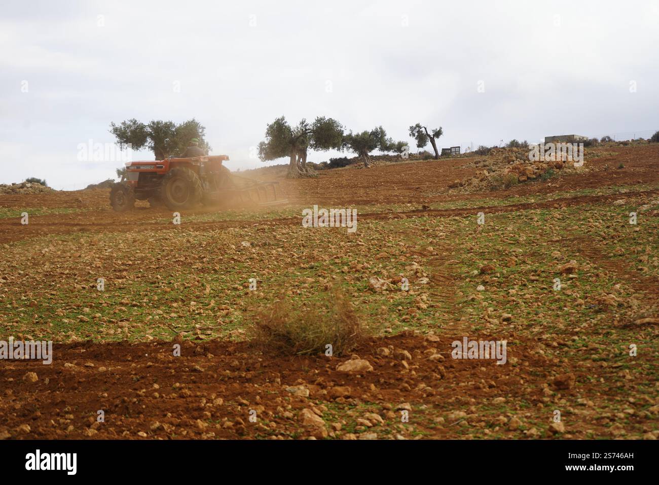 An old farmer in a tractor cultivating field - Plowing soil on farm ...