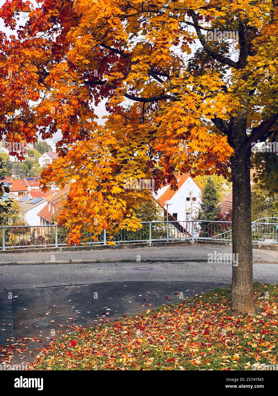 Autumn colours in germany hi-res stock photography and images - Alamy