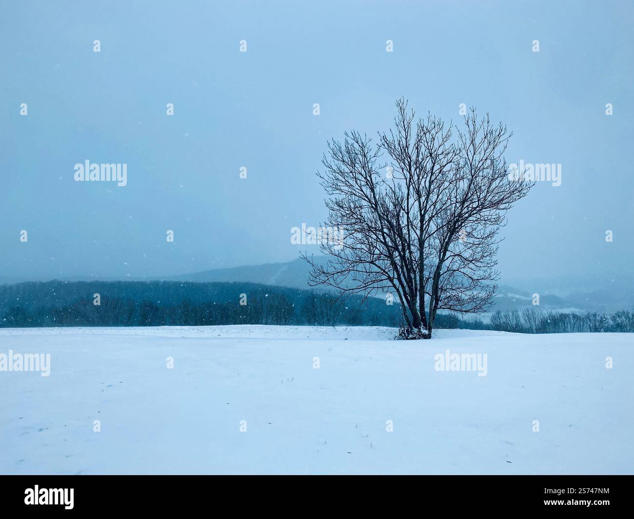 Winter in Germany Stock Photo - Alamy