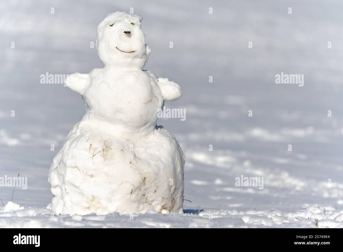 Smiling melted snowman on the field. Global warming concept. Spring is ...