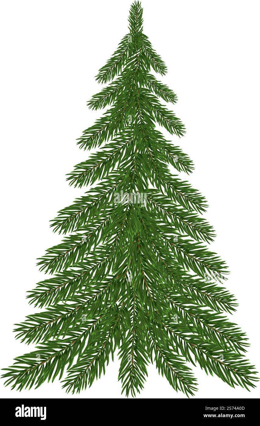 Christmas fir tree. Design element for the winter holidays, events ...