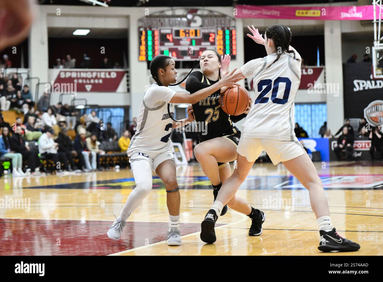 SPRINGFIELD, MA - JANUARY 18: Sofia-Lynn Teresi of Archbishop Mitty (25 ...