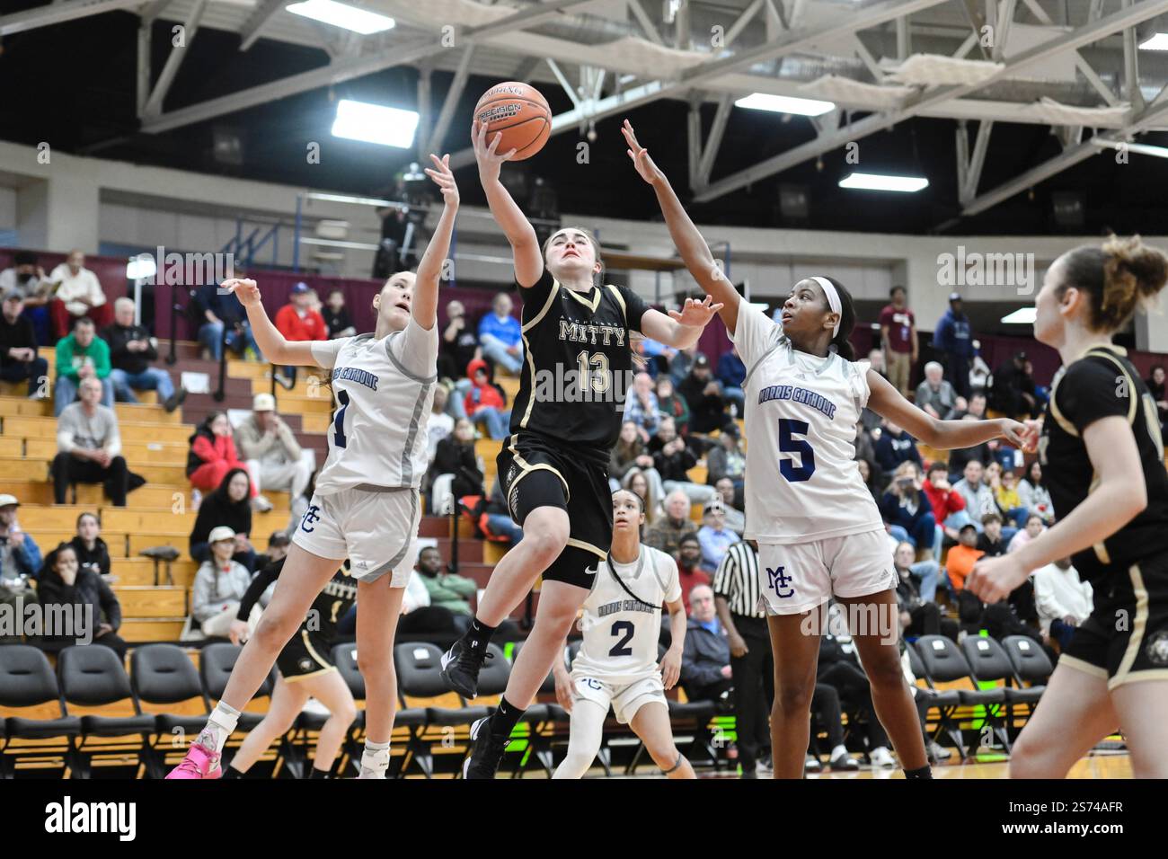 SPRINGFIELD, MA - JANUARY 18: Emma Cook of Archbishop Mitty (13) drives ...