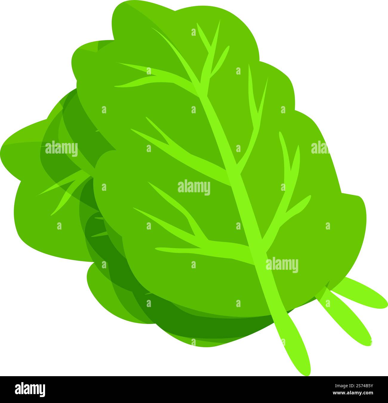 Green salad leaf icon cartoon vector. Vegetable food. Spinach plant ...