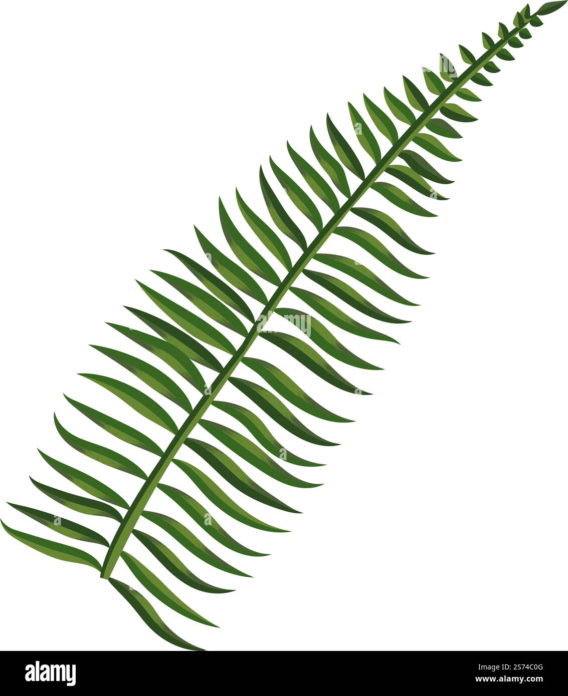 Fern branch. Ancient forest plant. Green tropic symbol isolated on ...