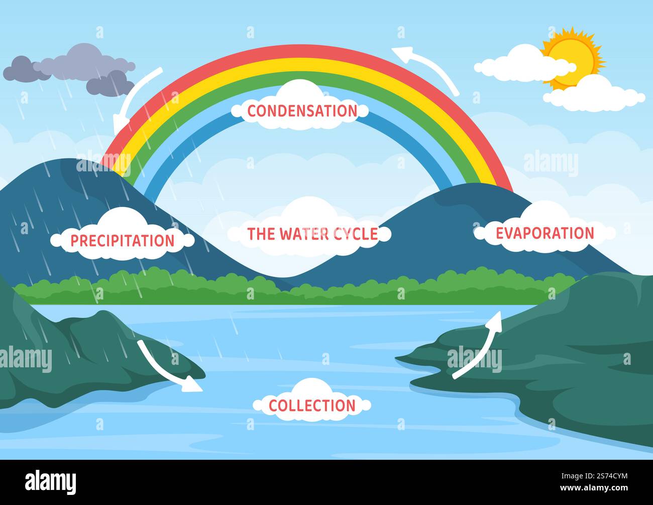 Water Cycle of Evaporation, Condensation, Precipitation to Collection ...