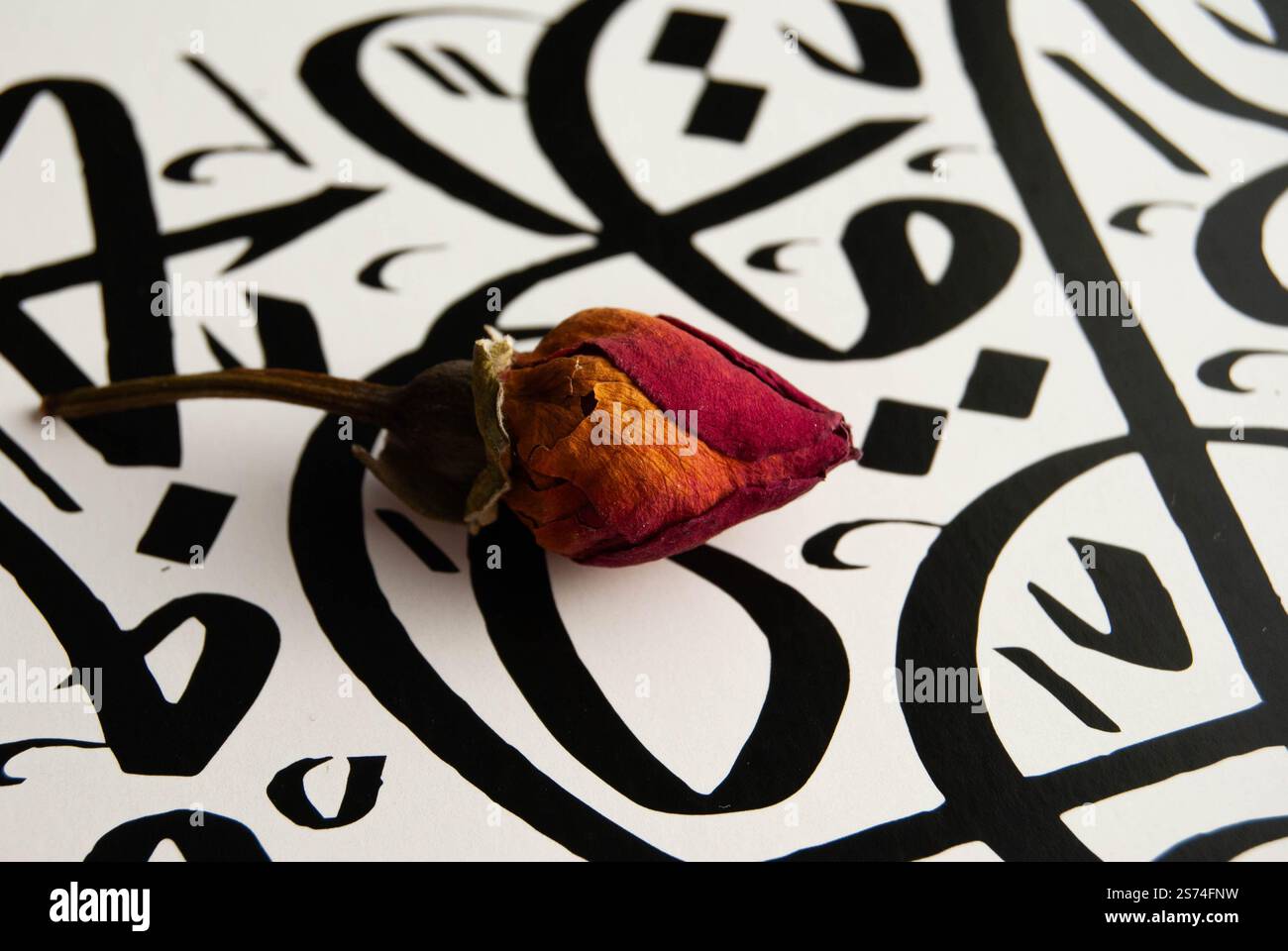 Black Arabic script adorned with a natural dried rosebud, creating a ...
