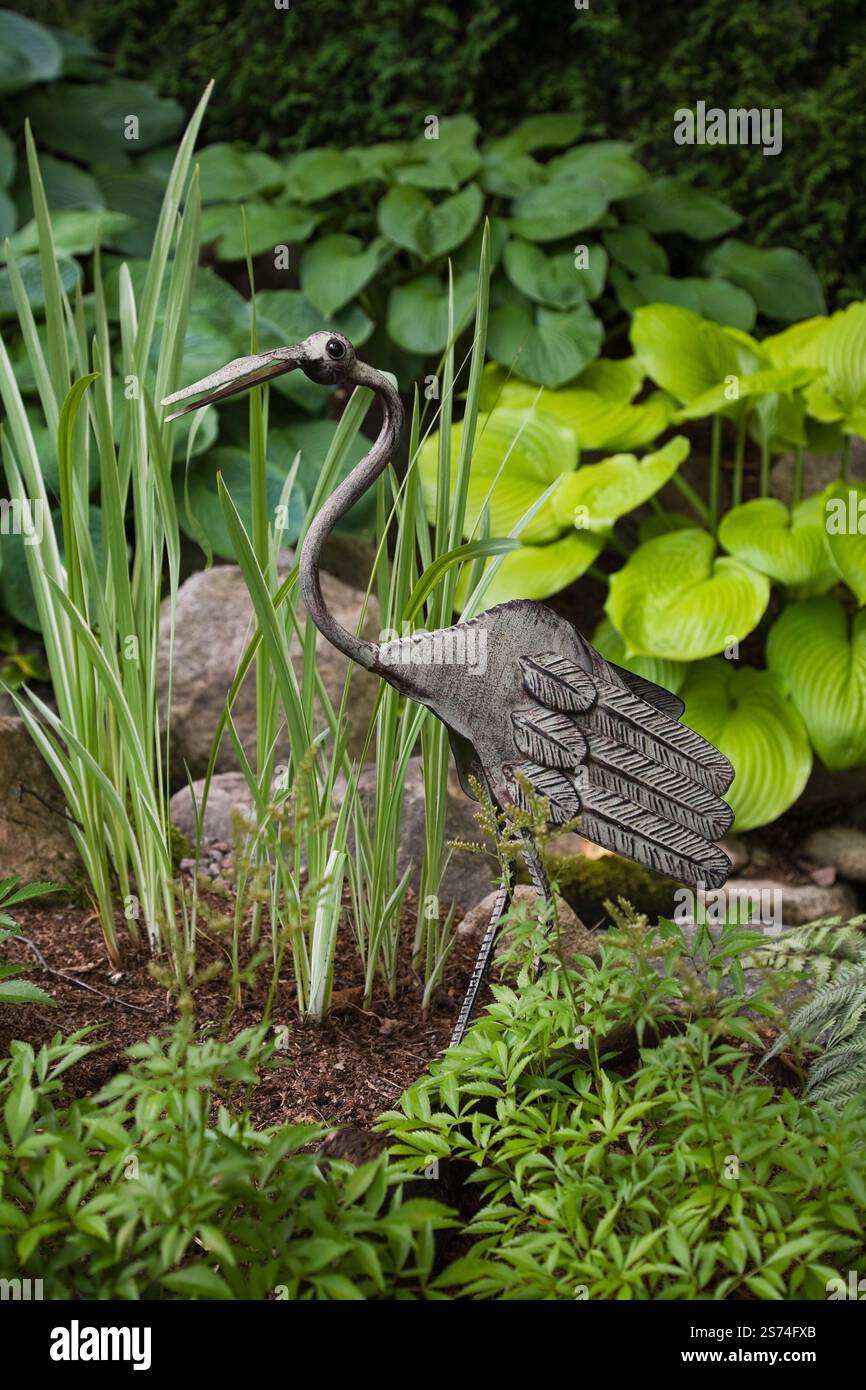 Ornamental grey metal bird sculpture in border with Hosta plants in ...